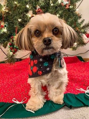 KLKN-TV: News, Weather and Sports for Lincoln, NE; KLKNTV.com